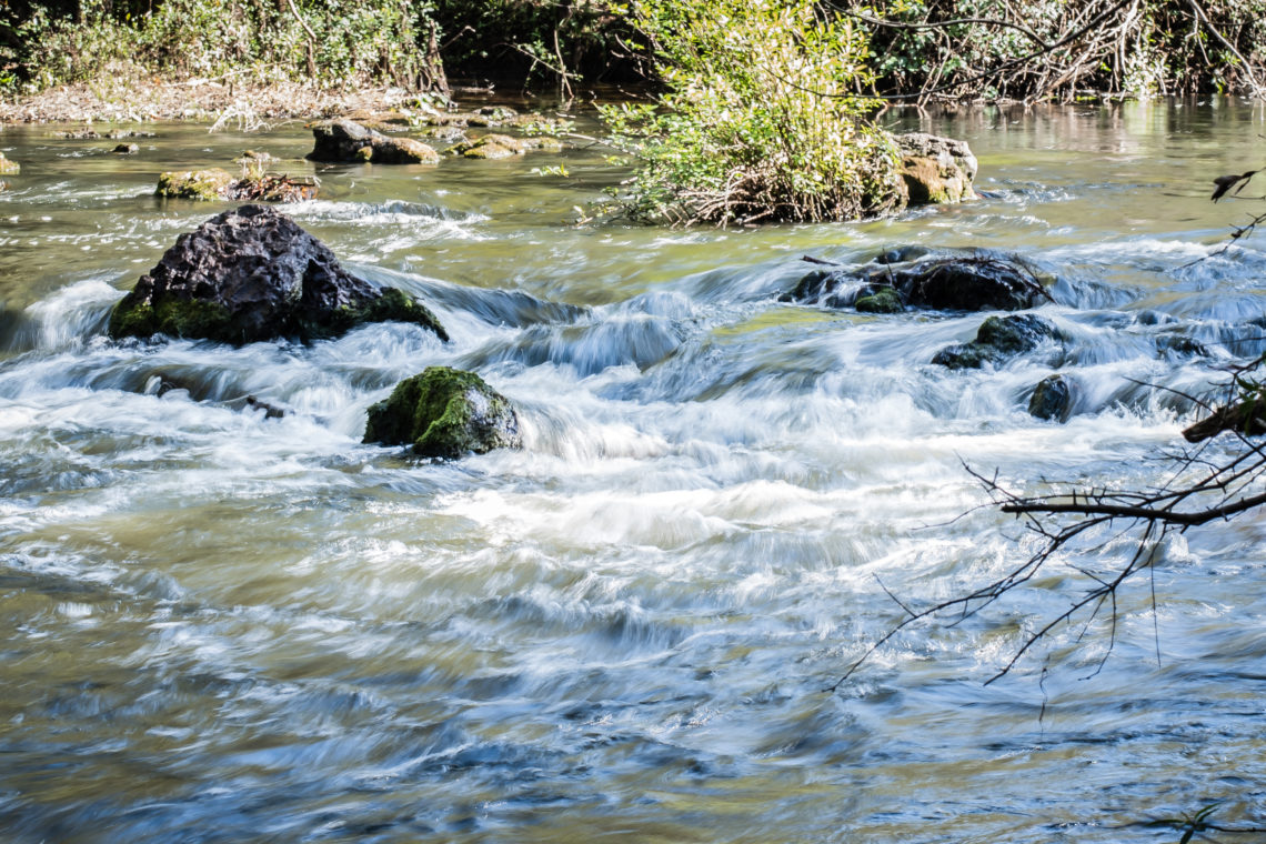 Exploring Hillsborough River State Park