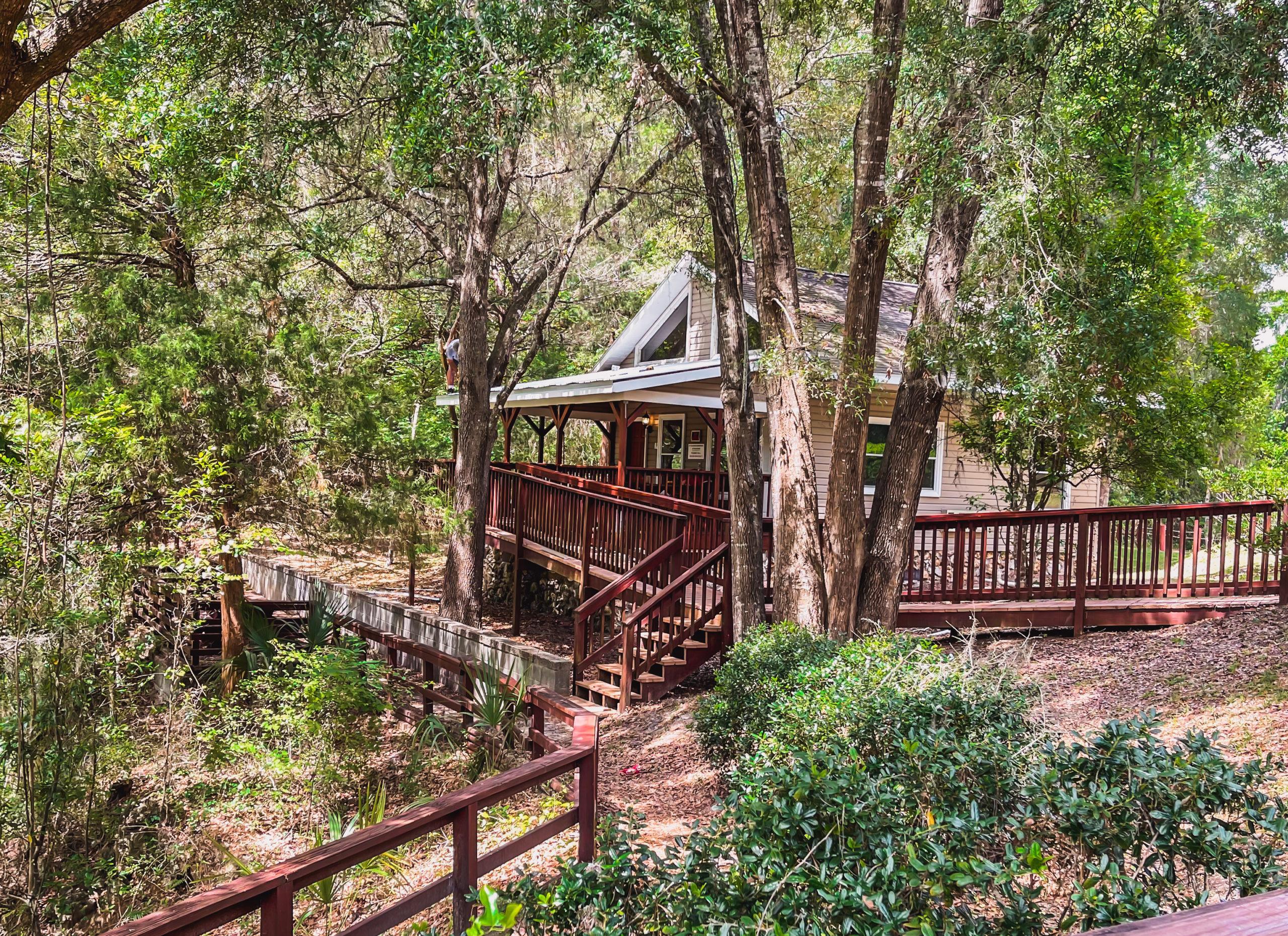 Devil's Den: Underground Spring Cave In Florida - Next Stop Adventures
