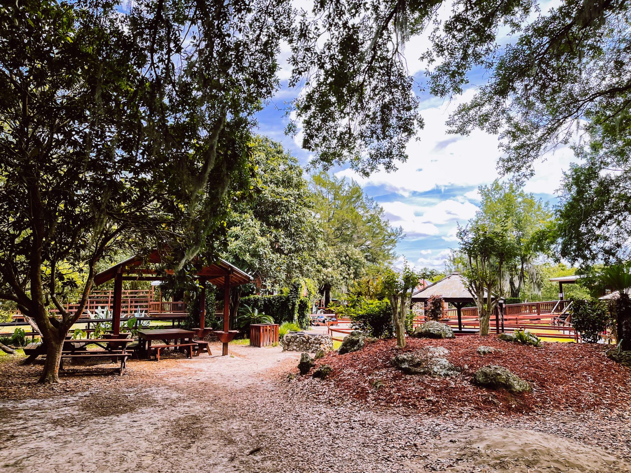 Visiting Devil's Den: Florida’s Mind-Blowing Underground Spring Cave ...