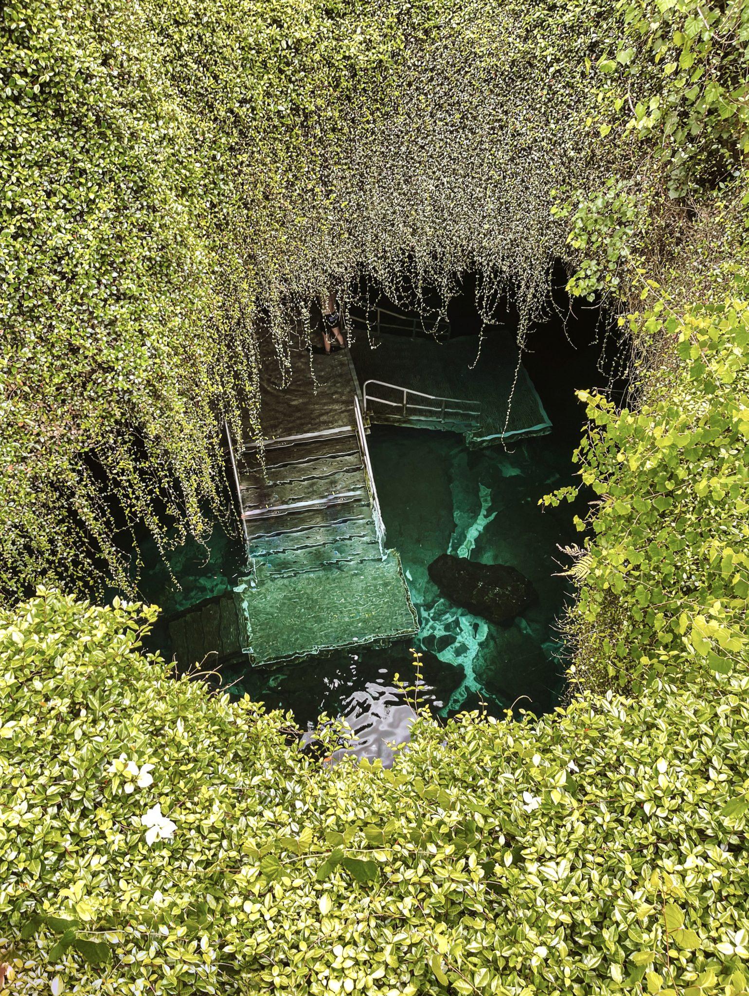 Visiting Devil's Den: Florida’s Mind-Blowing Underground Spring Cave ...