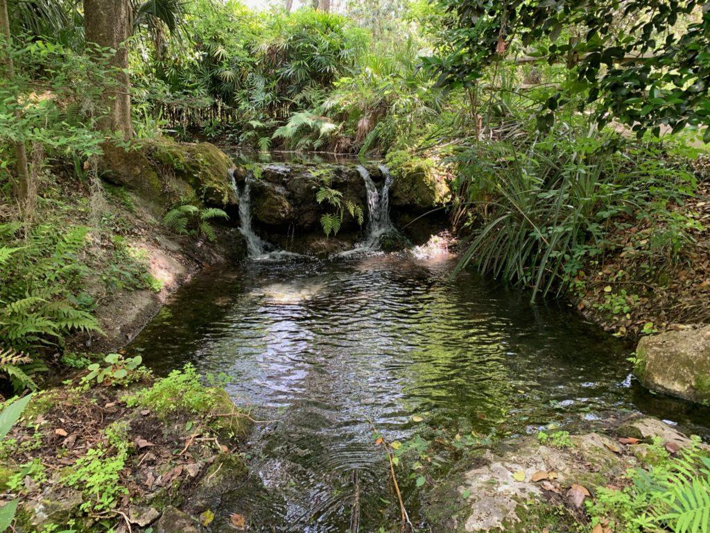Your Quick Guide To Making The Most Of Rainbow Springs