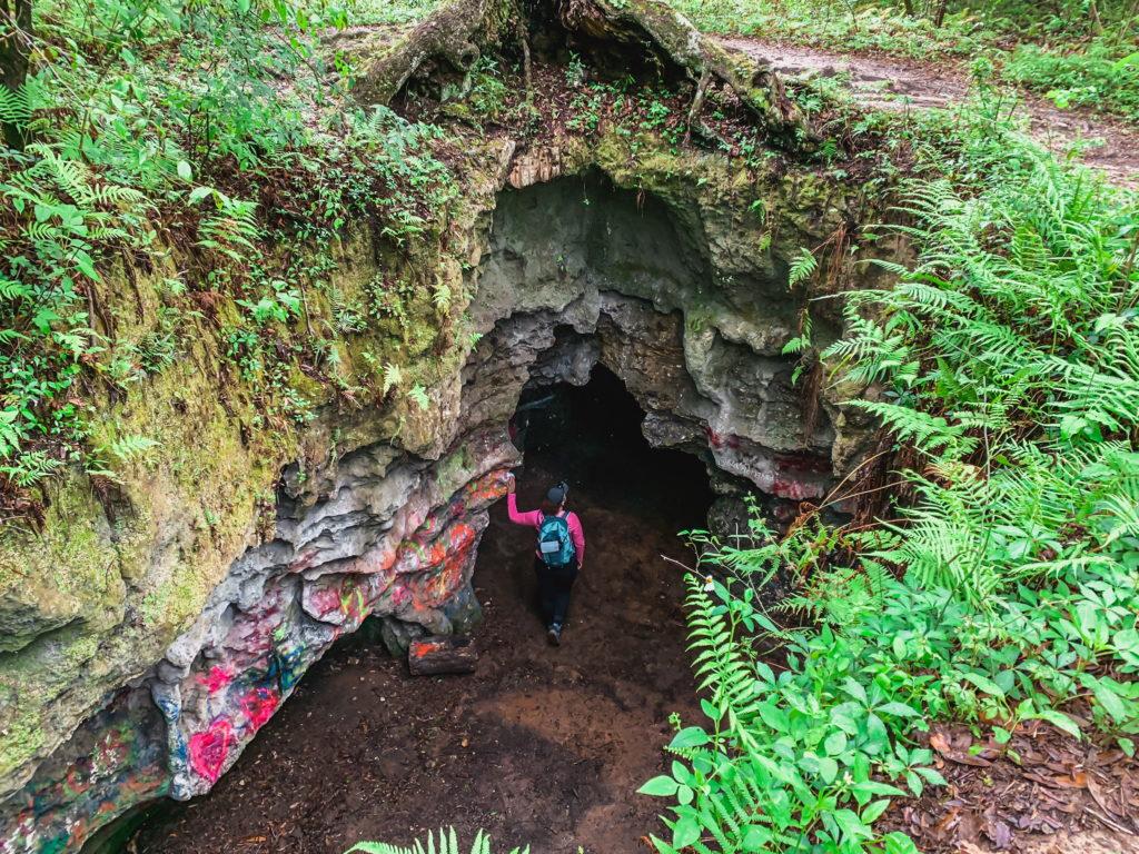Explore Dames Cave: A Hidden Cave In Florida That Channels Your Inner ...
