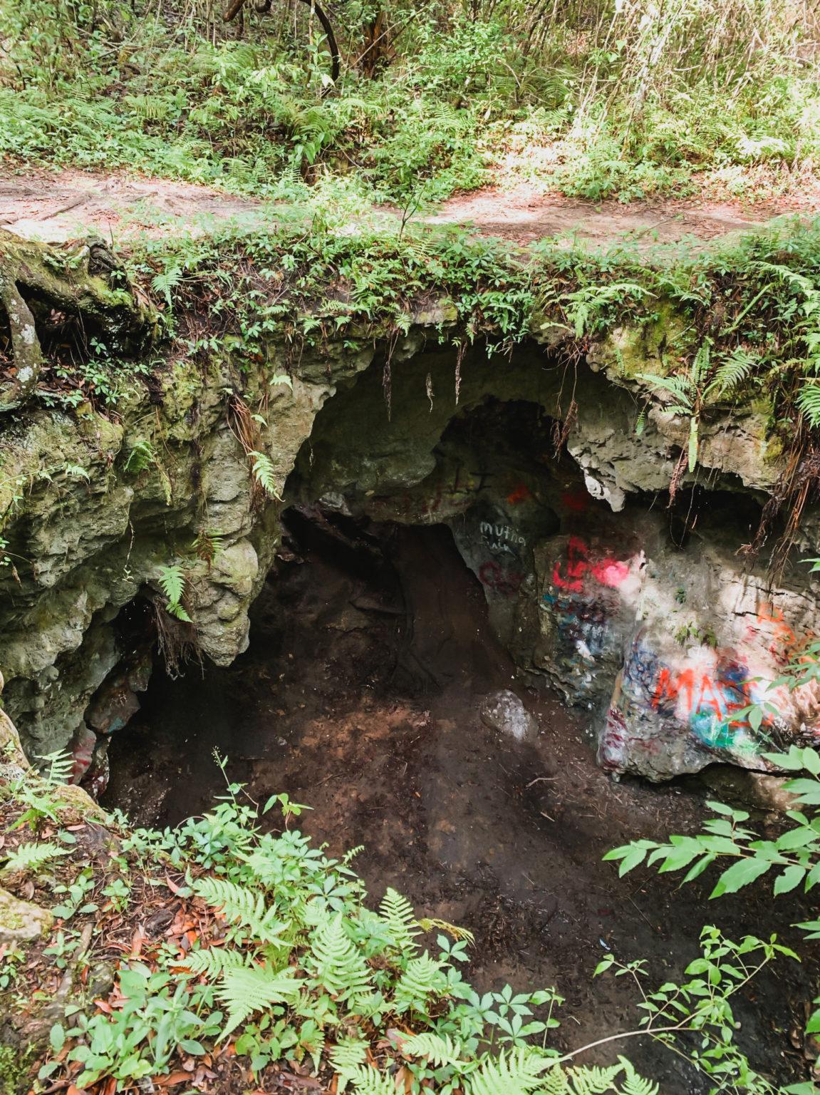 Explore Dames Cave: A Hidden Cave In Florida That Channels Your Inner ...