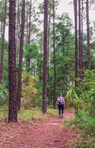 Explore Dames Cave: A Hidden Cave In Florida That Channels Your Inner ...