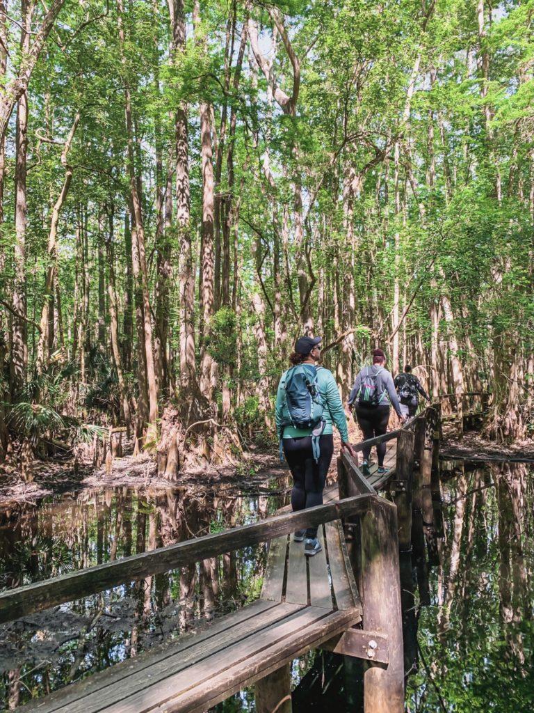 22 Exciting Adventure Travel Ideas To Experience In Florida