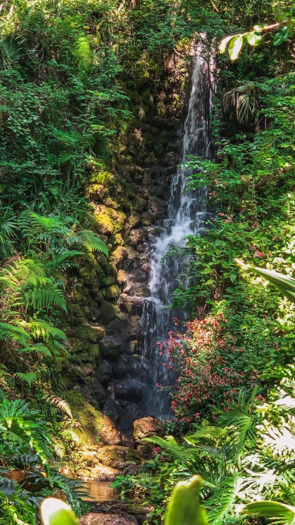 22 Exciting Adventure Travel Ideas To Experience In Florida