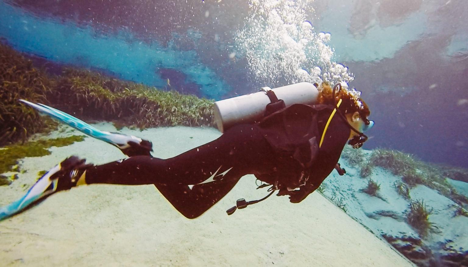 Scuba Diving At Alexander Springs In Ocala