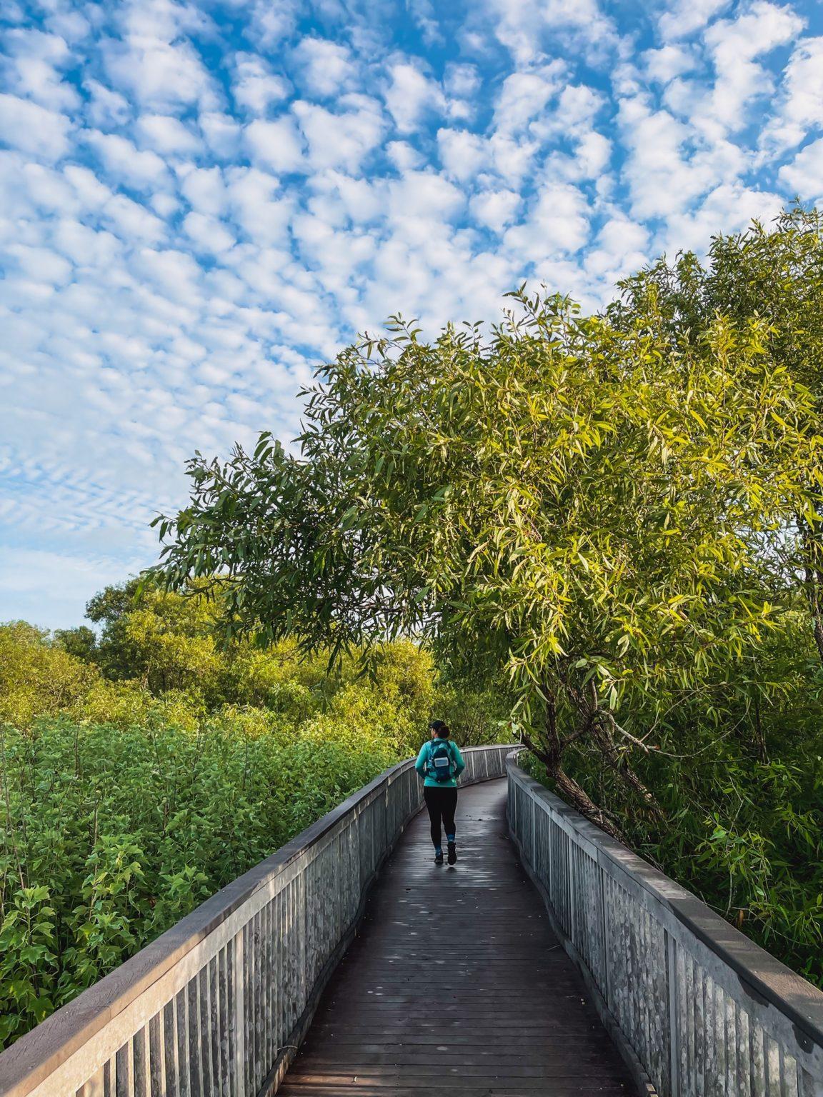 22 Exciting Adventure Travel Ideas To Experience In Florida