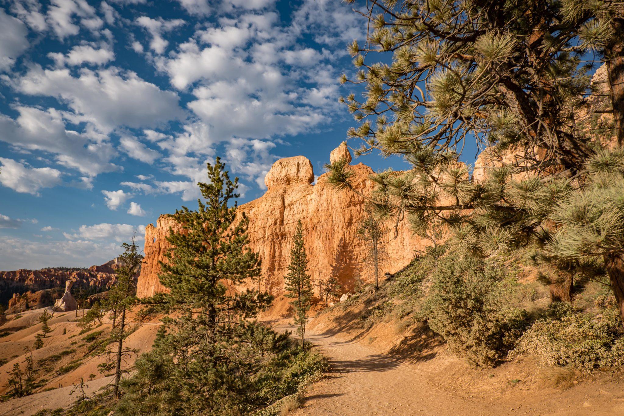 7 Epic Hikes In Bryce Canyon That Will Take Your Breath Away