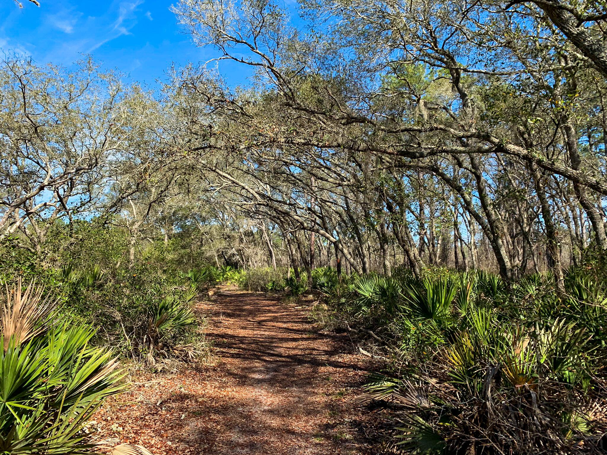 7 Hiking Trails With Breathtaking Views Near Orlando