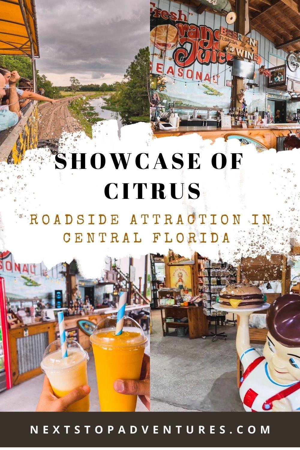 Showcase Of Citrus: The Roadside Attraction You Don't Want To Miss