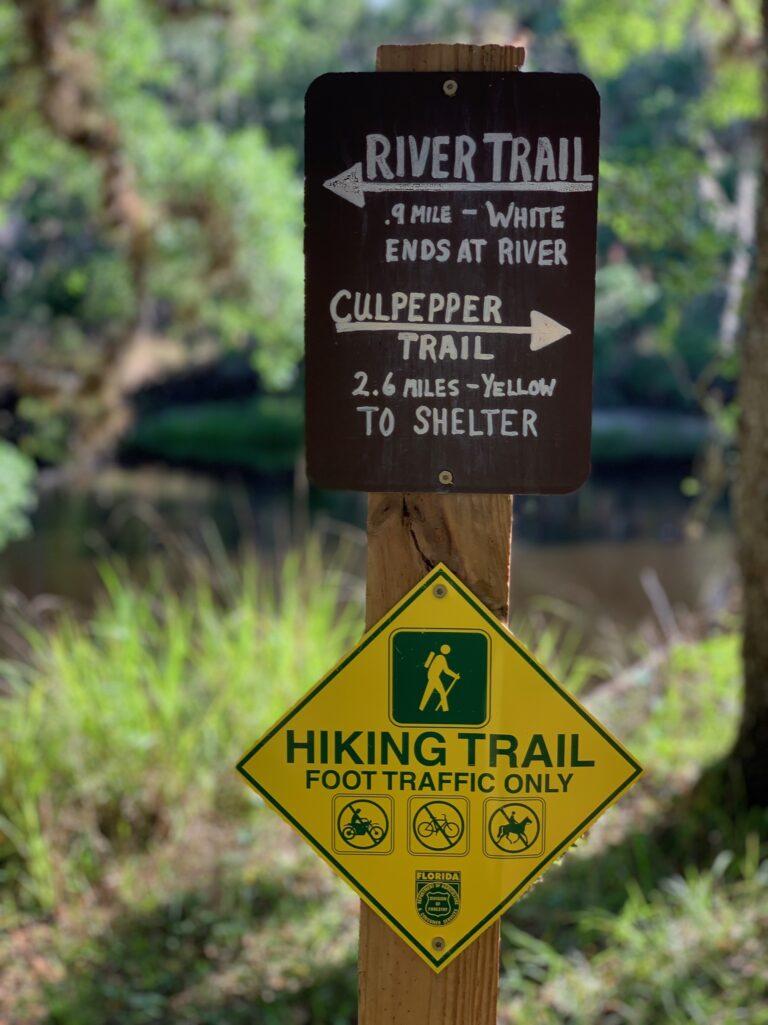 Hiking 101: How To Start Hiking And Enjoy The Great Outdoors