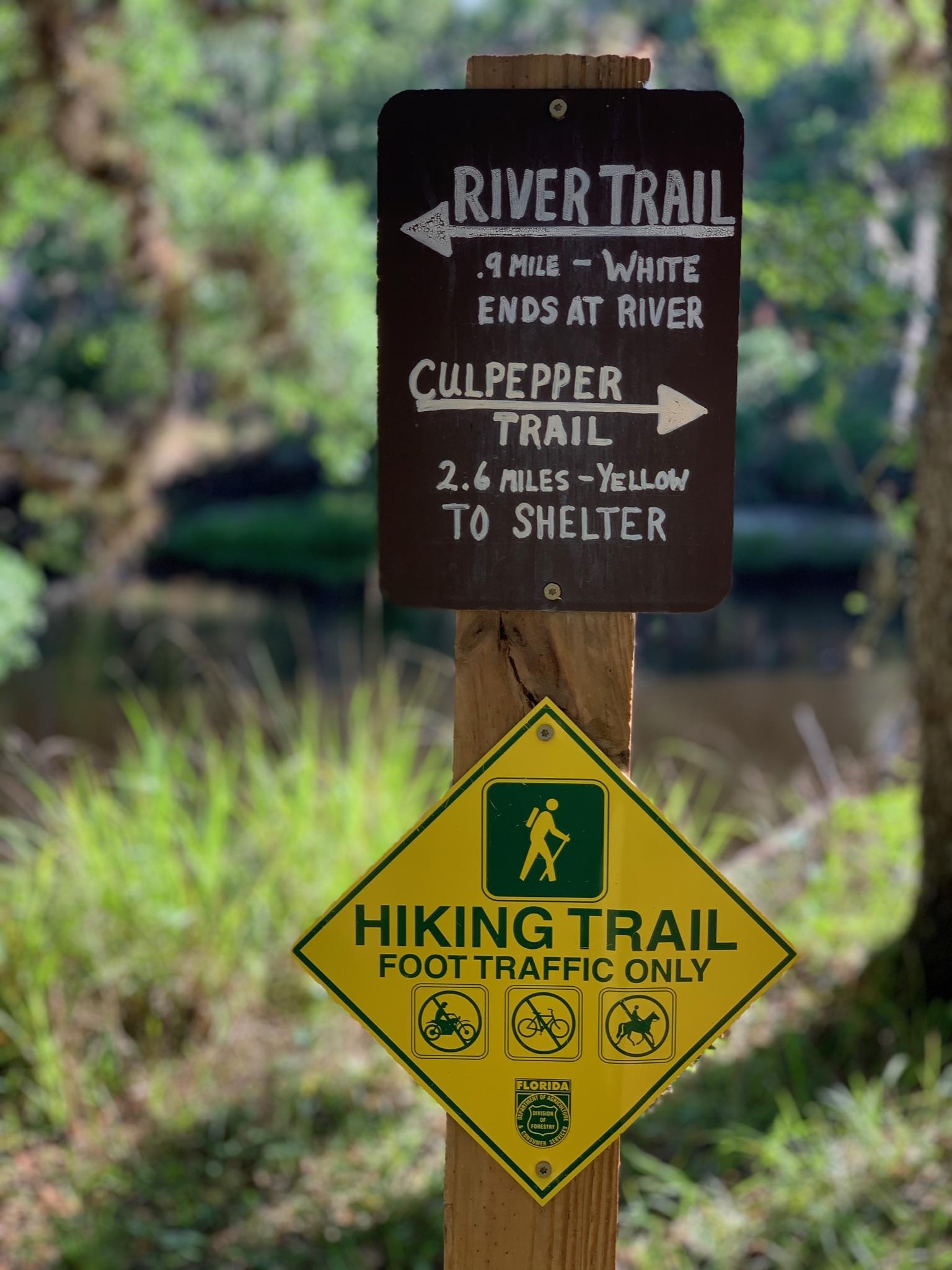 Hiking 101: How To Start Hiking And Enjoy The Great Outdoors