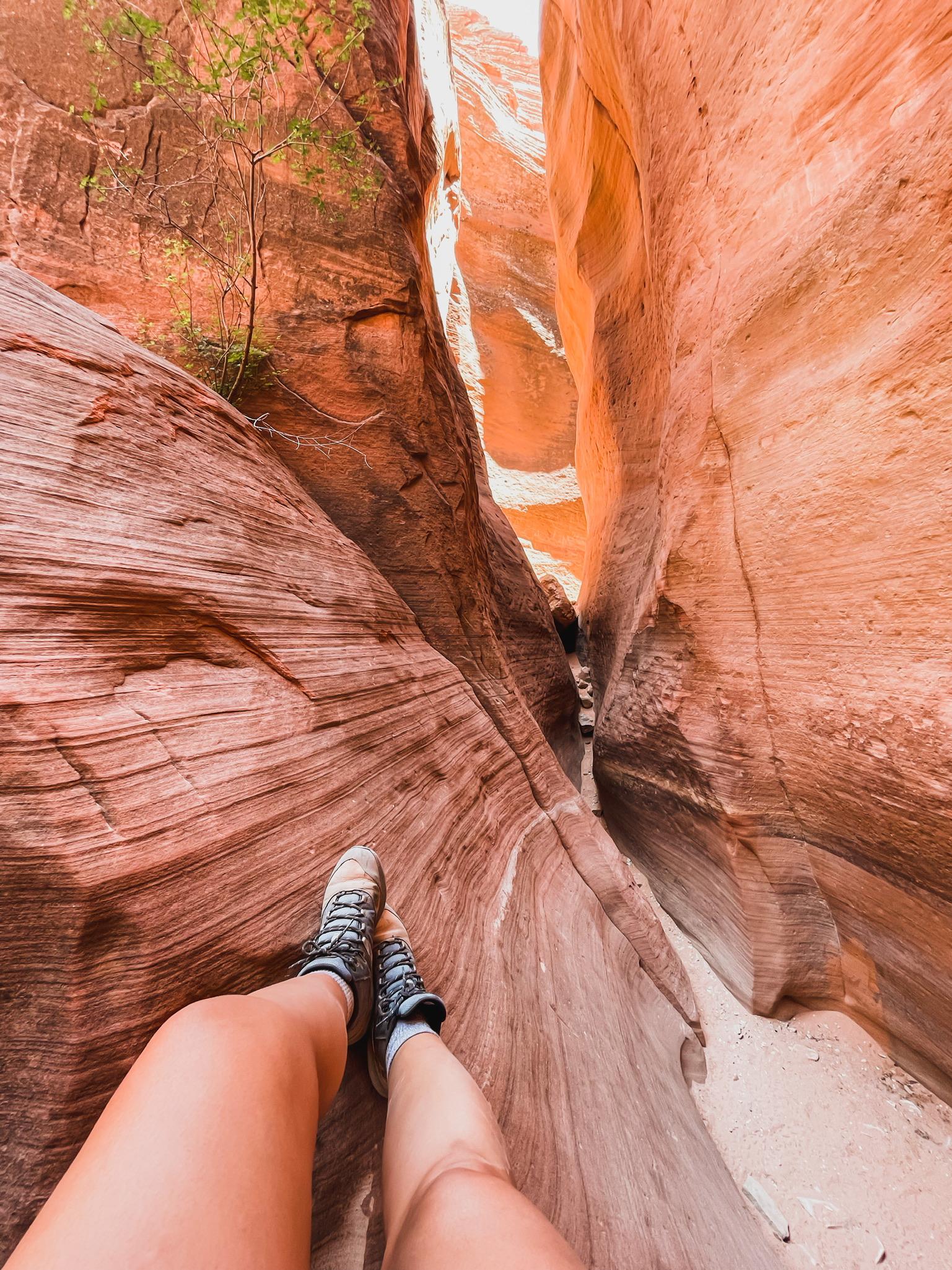 Hiking 101: How To Start Hiking And Enjoy The Great Outdoors