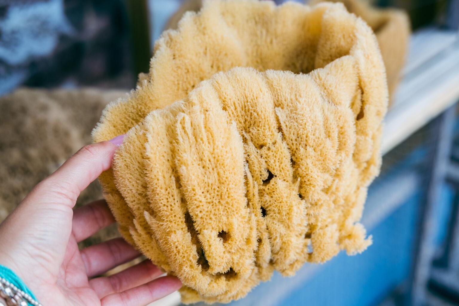 Exciting Things To Do In Tarpon Springs: Florida's Greek Village