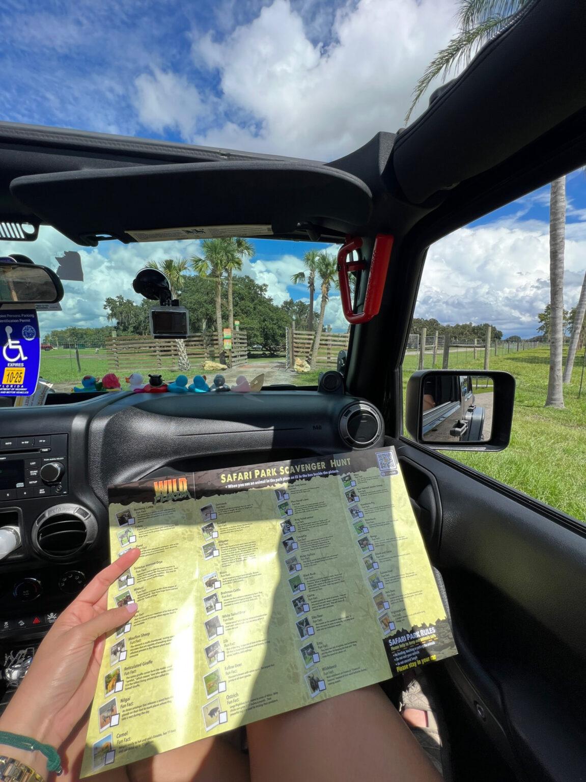 Experience A Wild Adventure From Your Car At This Florida Drive-Thru Safari