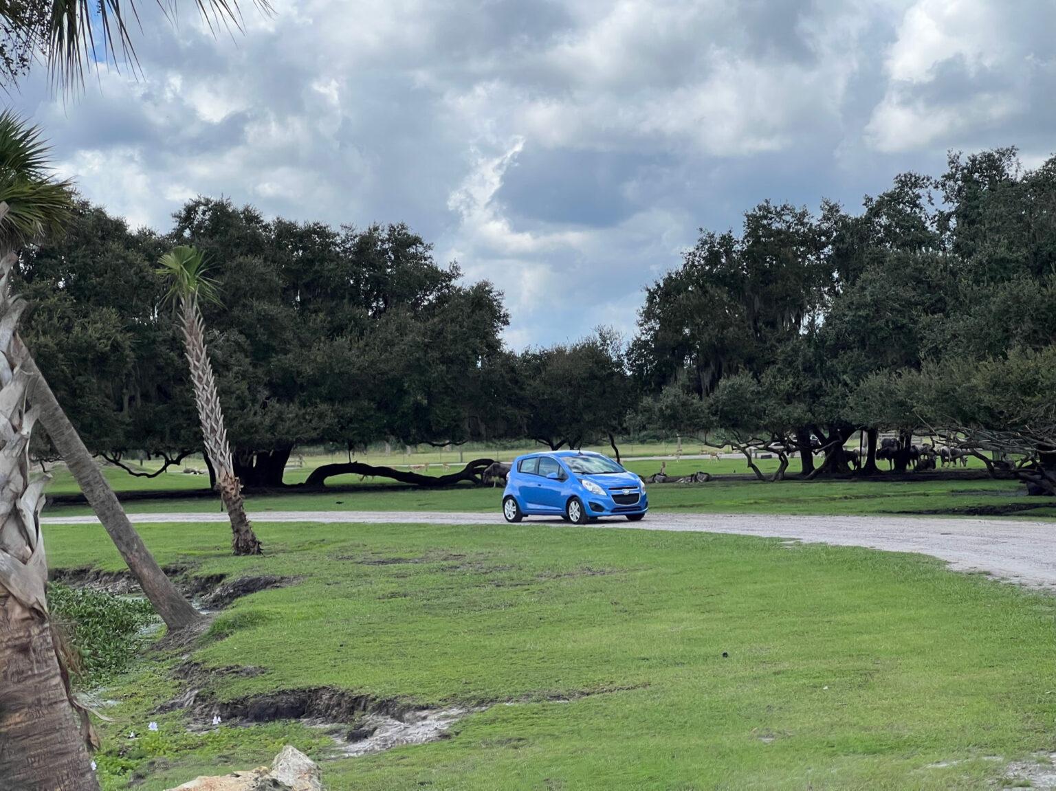 Experience A Wild Adventure From Your Car At This Florida Drive-Thru Safari