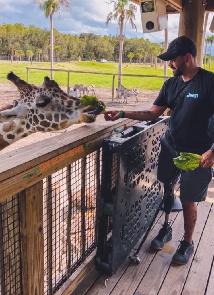 Experience A Wild Adventure From Your Car At This Florida Drive-Thru Safari