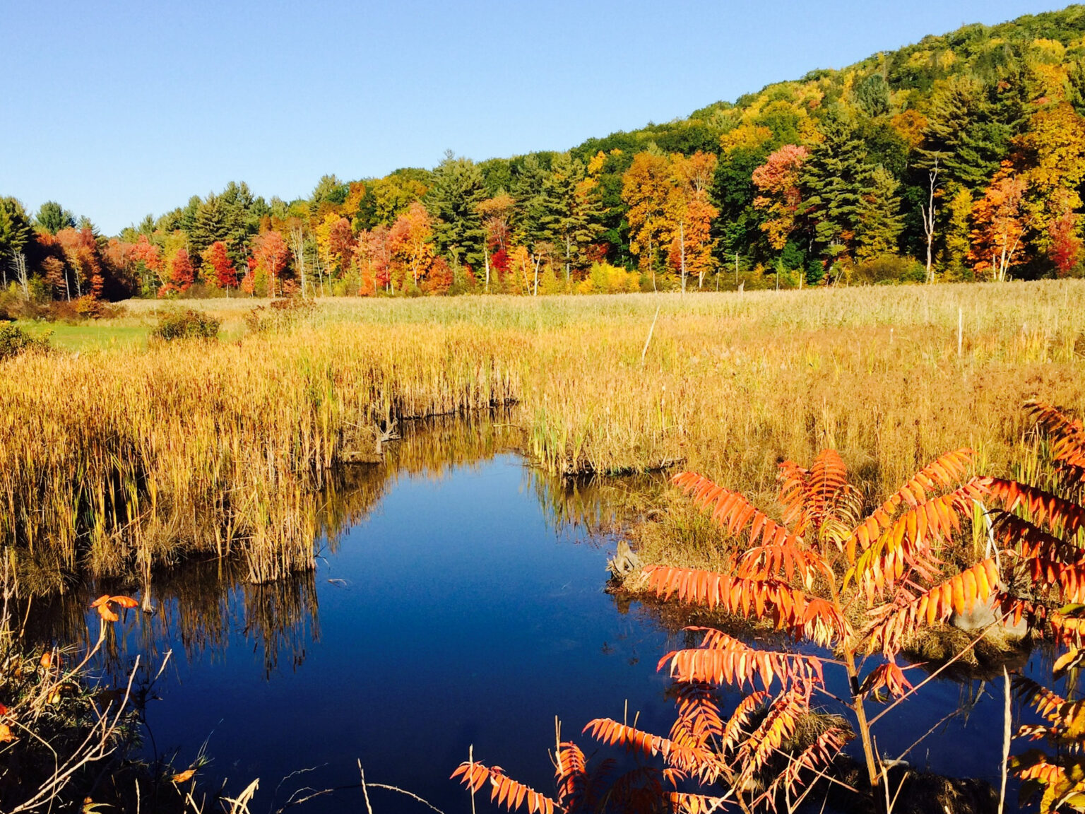 16 Amazing Places To See Fall Colors On The East Coast