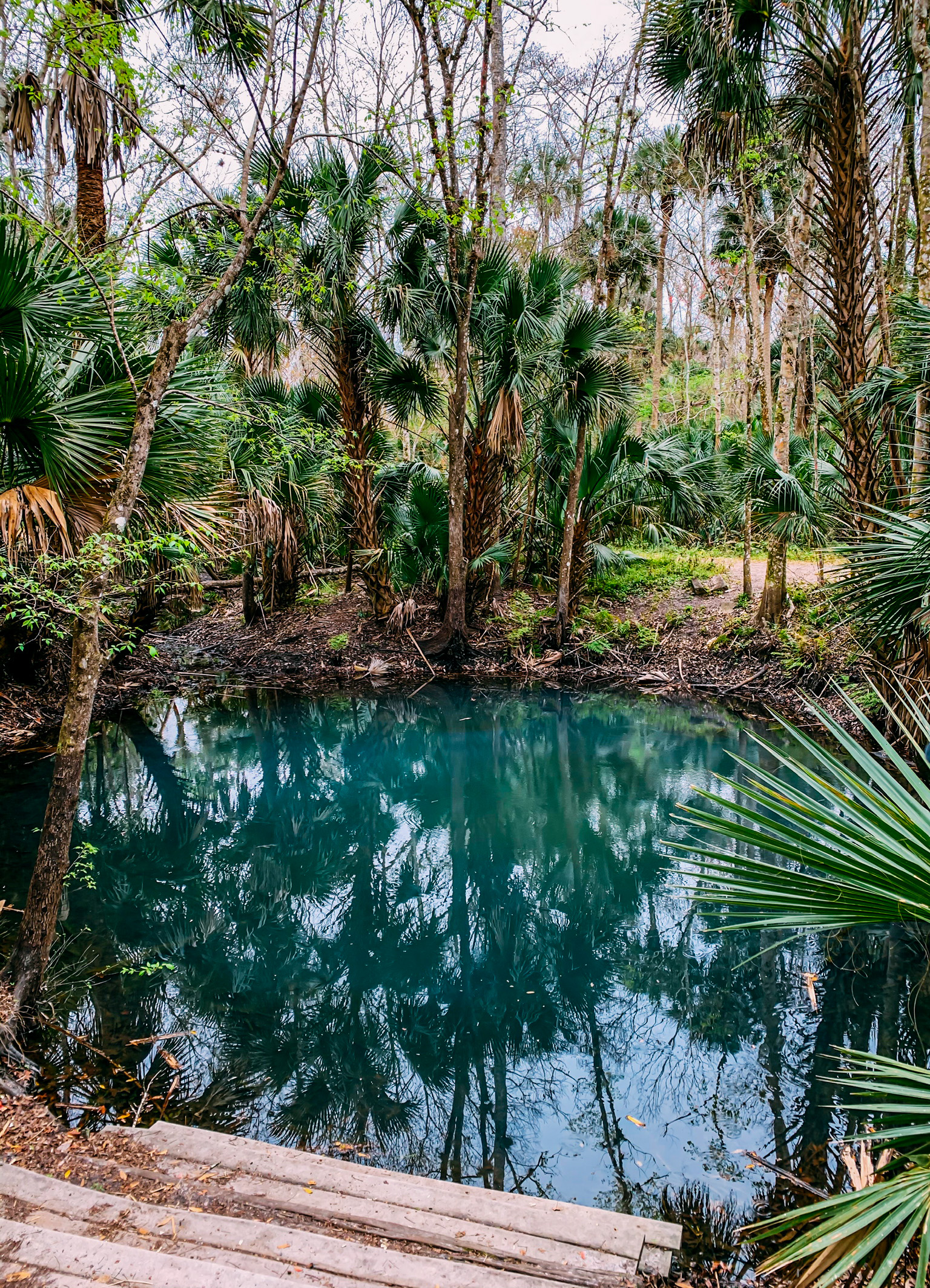 Eco-Friendly Outdoor Practices: 4 Ways To Minimize Your Footprint