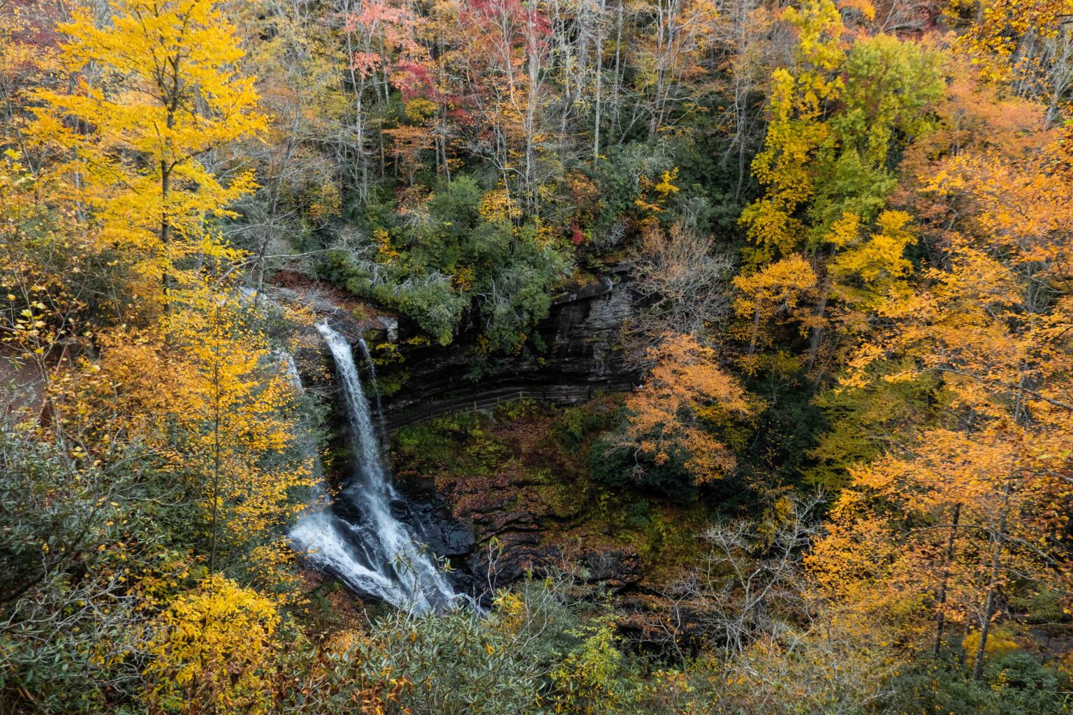 Dry Falls NC: A Gorgeous Waterfall You Can Walk Behind