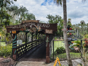 22 Exciting Adventure Travel Ideas To Experience In Florida