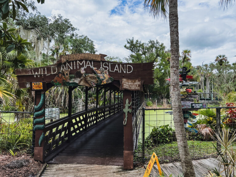 22 Exciting Adventure Travel Ideas To Experience In Florida