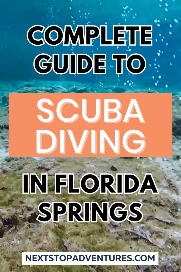Dive Into An Epic Adventure At These 8 Incredible Florida Springs For ...