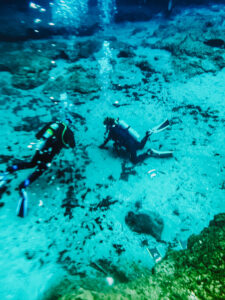 Dive Into An Epic Adventure At These 8 Incredible Florida Springs For ...