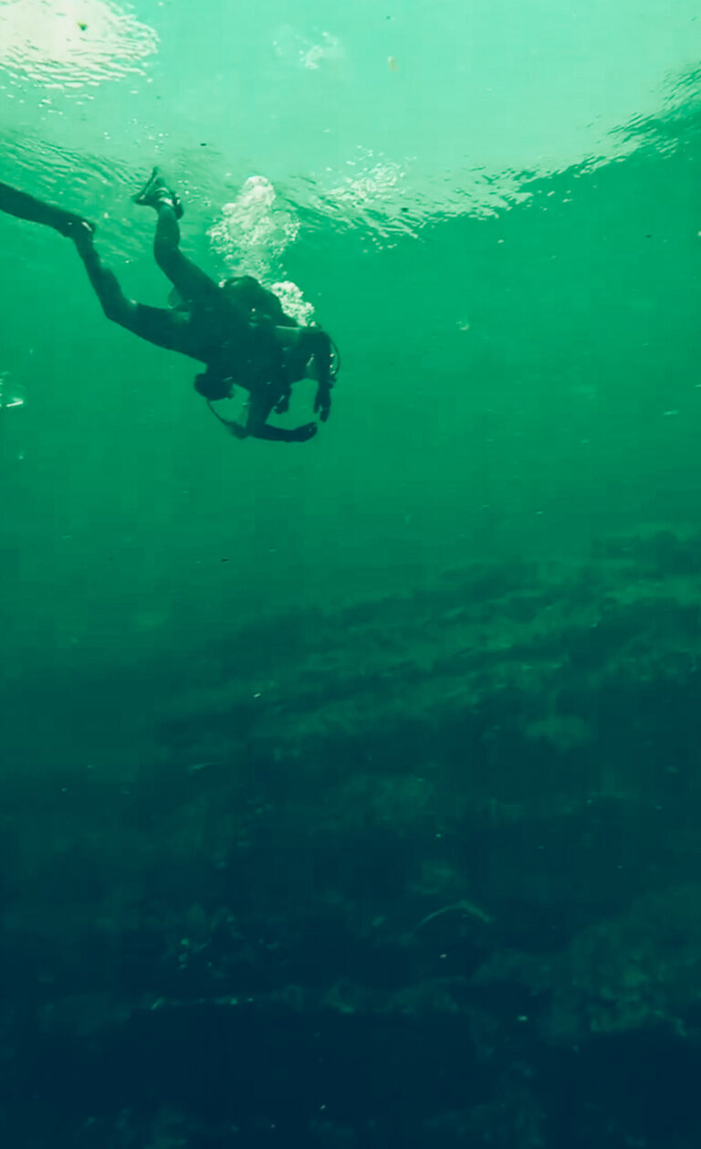 Dive Into An Epic Adventure At These 8 Incredible Florida Springs For ...