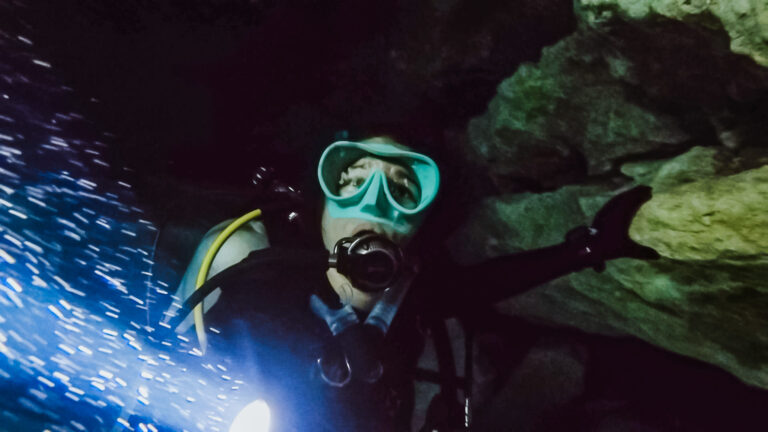 8 Best Florida Springs For Scuba Diving (From A Local Diver)