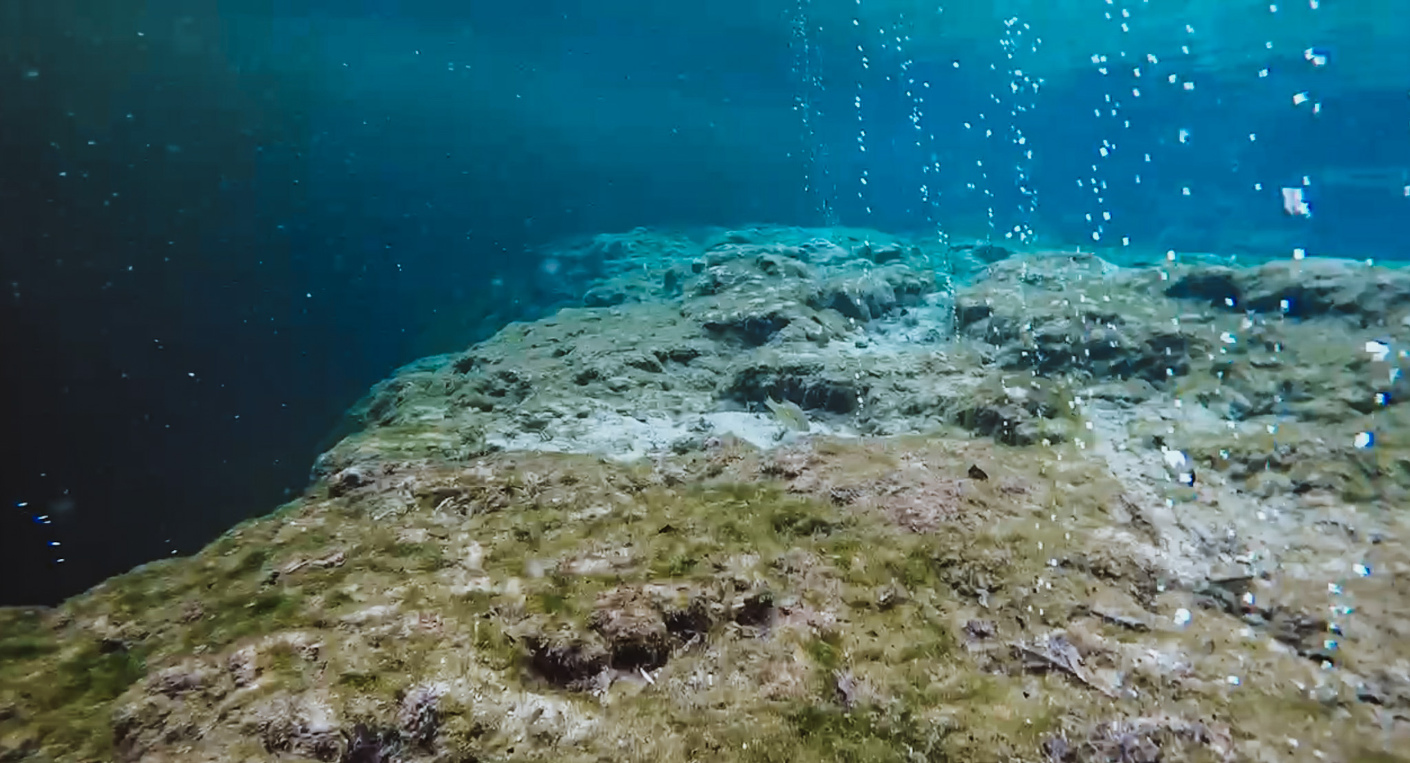 8 Best Florida Springs For Scuba Diving (From A Local Diver)