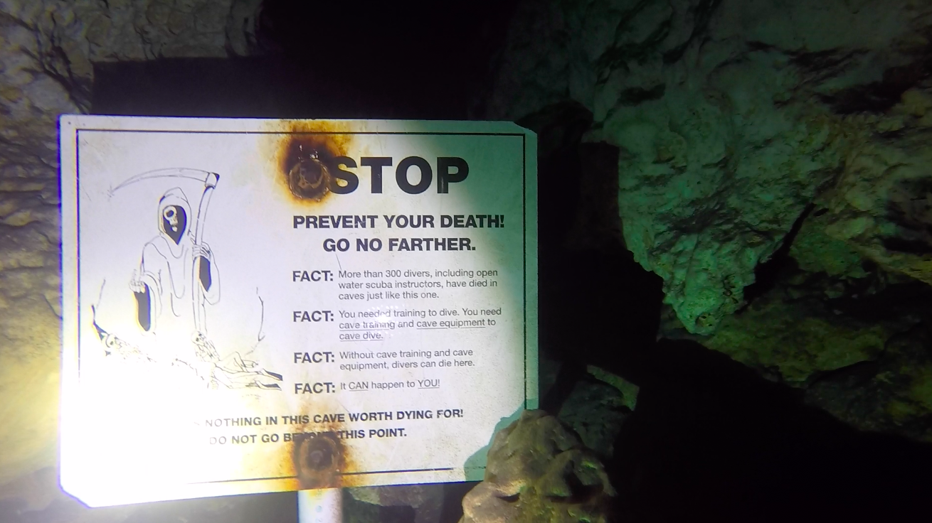 8 Best Florida Springs For Scuba Diving (From A Local Diver)