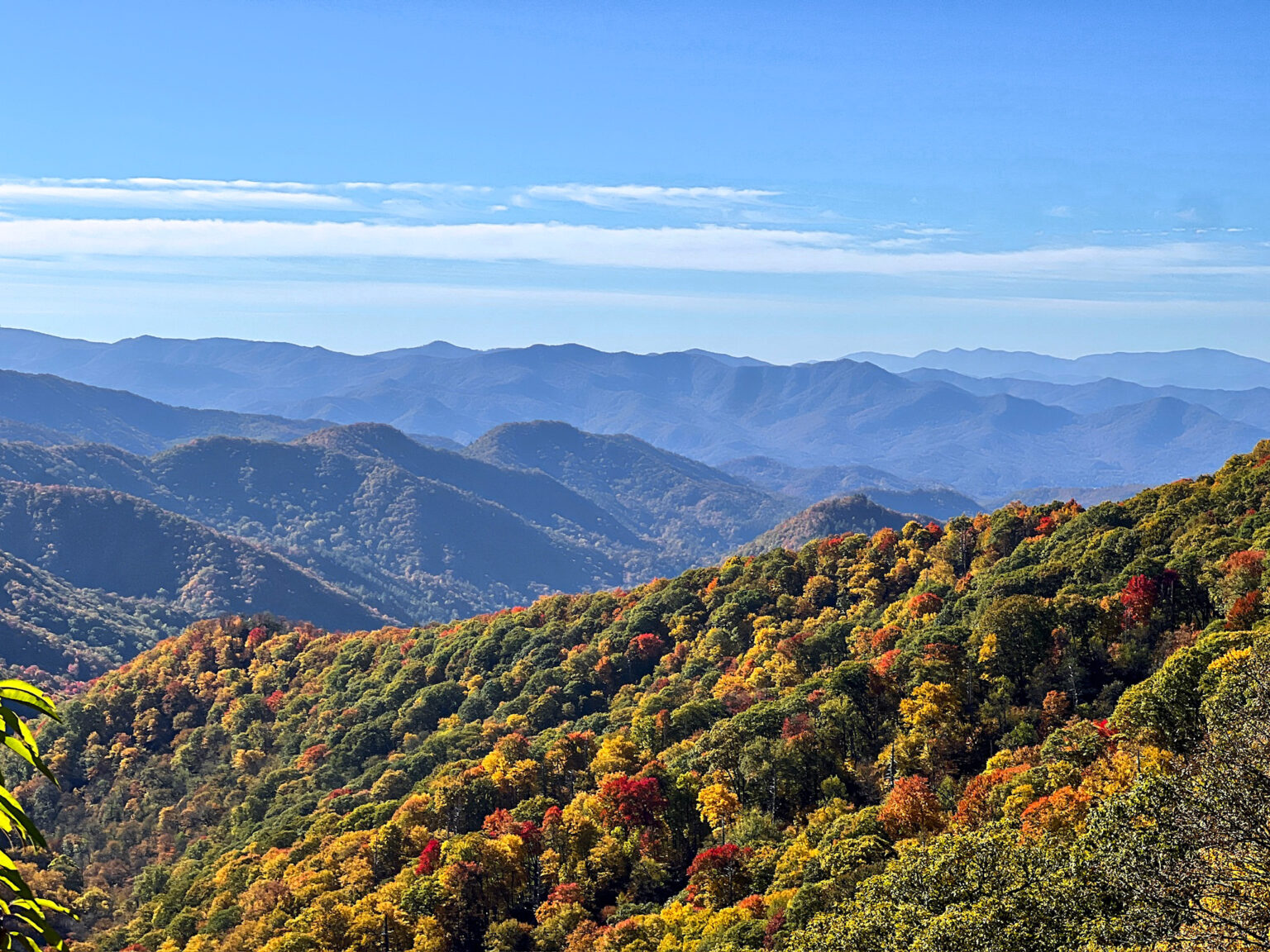 Best Times To Experience Stunning Fall Foliage On The East Coast