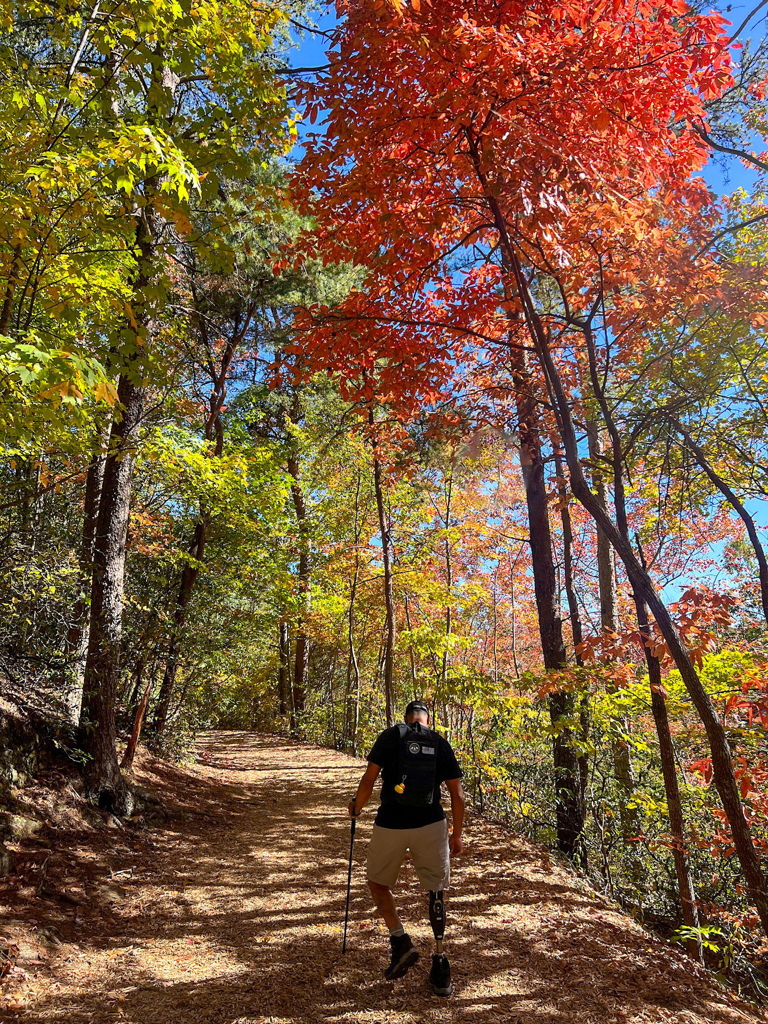 Best Times To Experience Stunning Fall Foliage On The East Coast