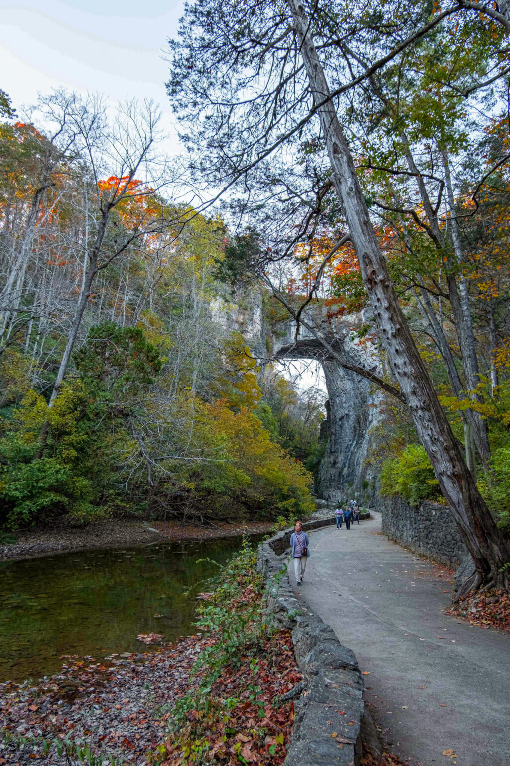 10 Jaw-Dropping Facts About Natural Bridge, Virginia: A Must-See ...